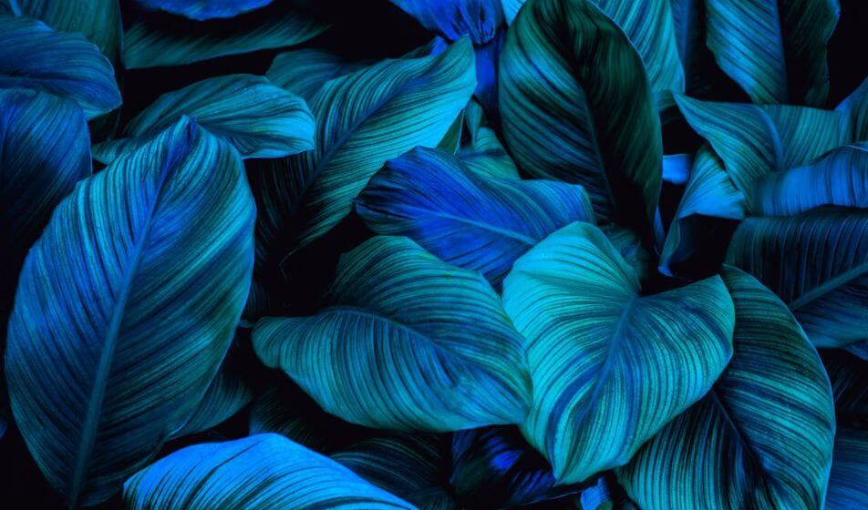 Fedrigoni presenta Symbol Card & Pack - Stampamedia